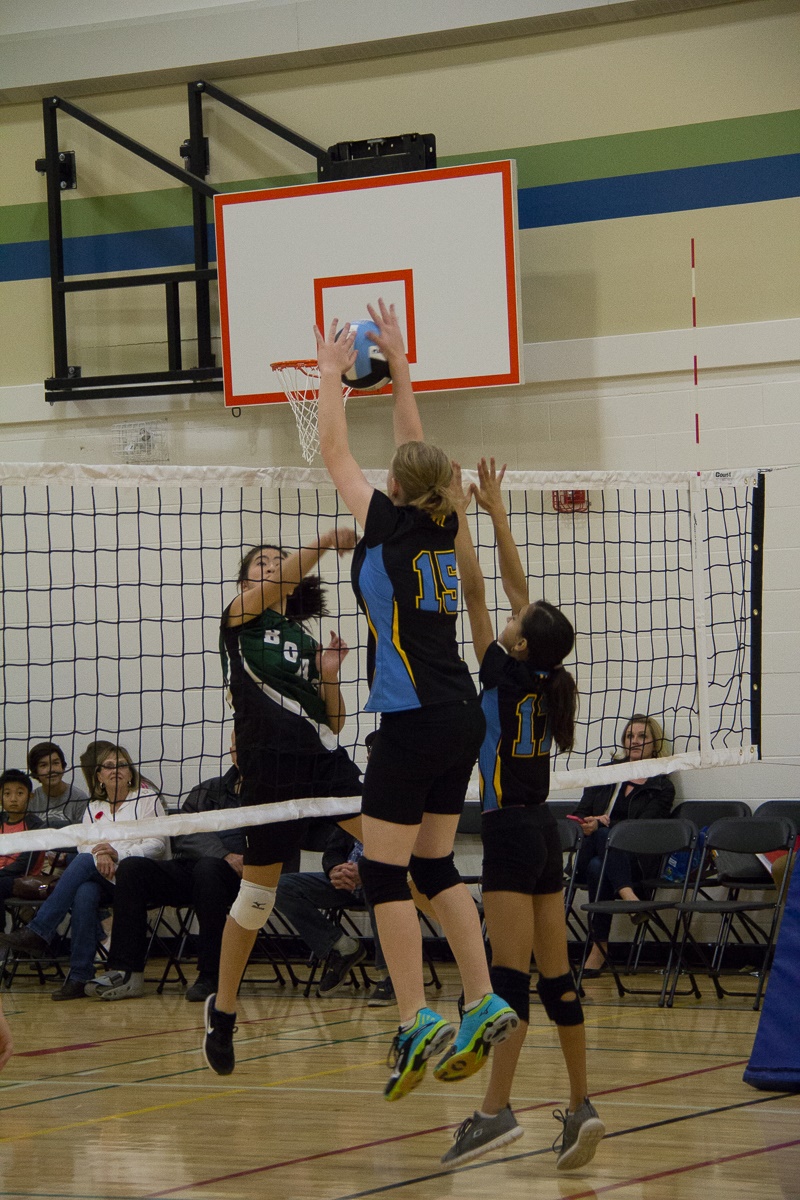 Mavericks Volleyball - William D. Pratt School